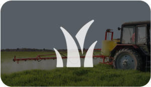 Roundup Cancer – Tort Experts